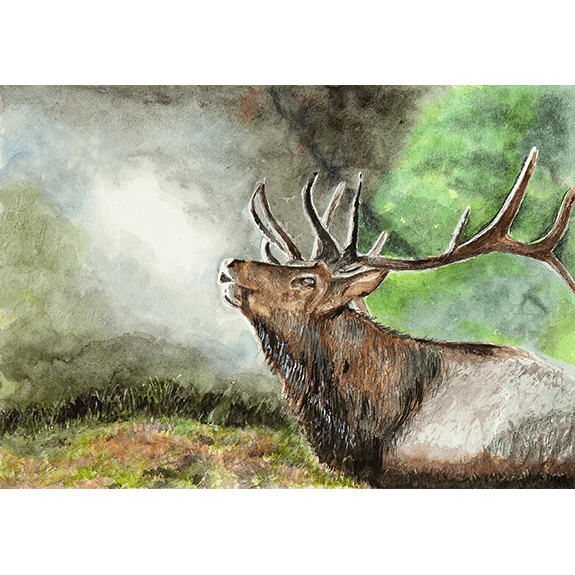 Ken Steinnerd Fine Art - Print Works 6